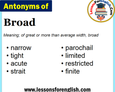 Antonyms of Broad Archives - Lessons For English