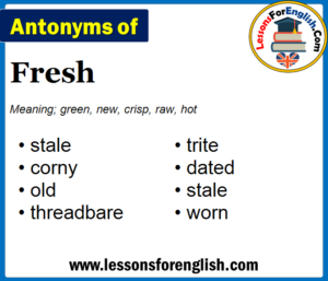 Antonyms of Fresh, Opposite of Fresh in English - Lessons For English